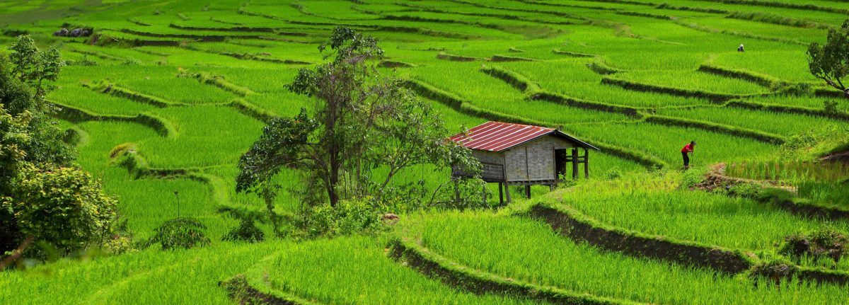 Contact us – EDS First